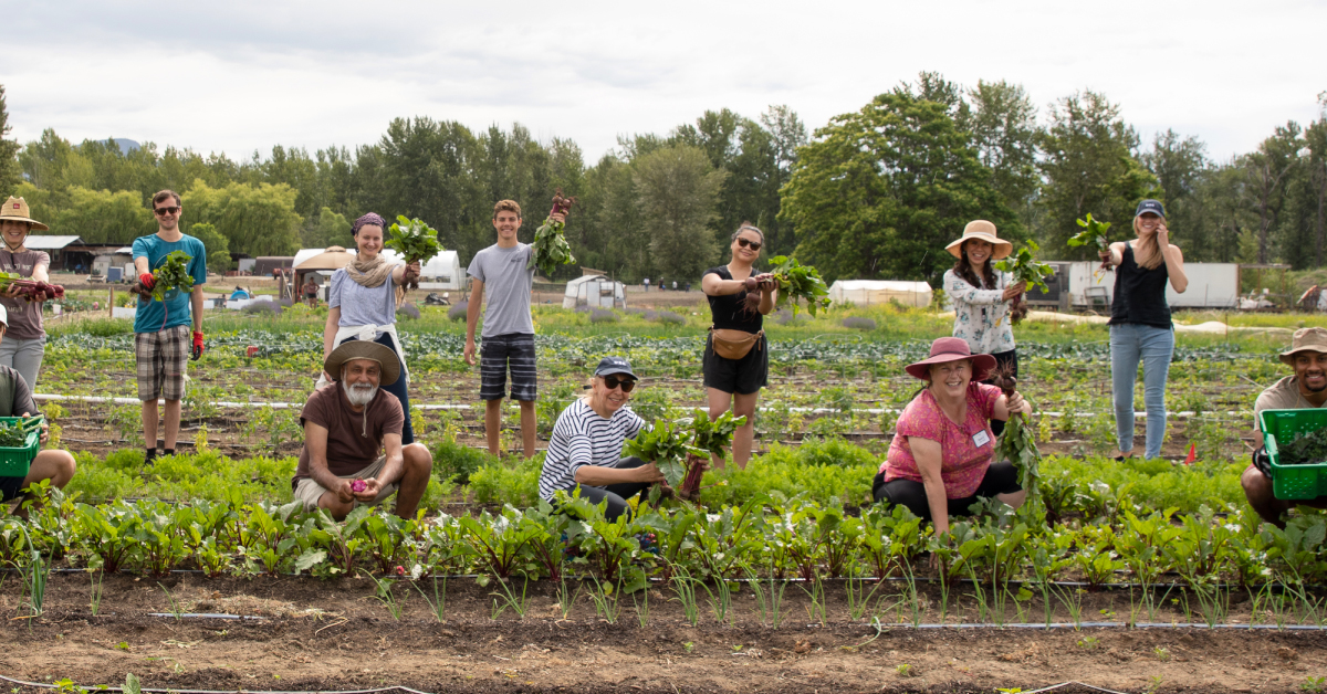 THE A PROJECT - alumni UBC